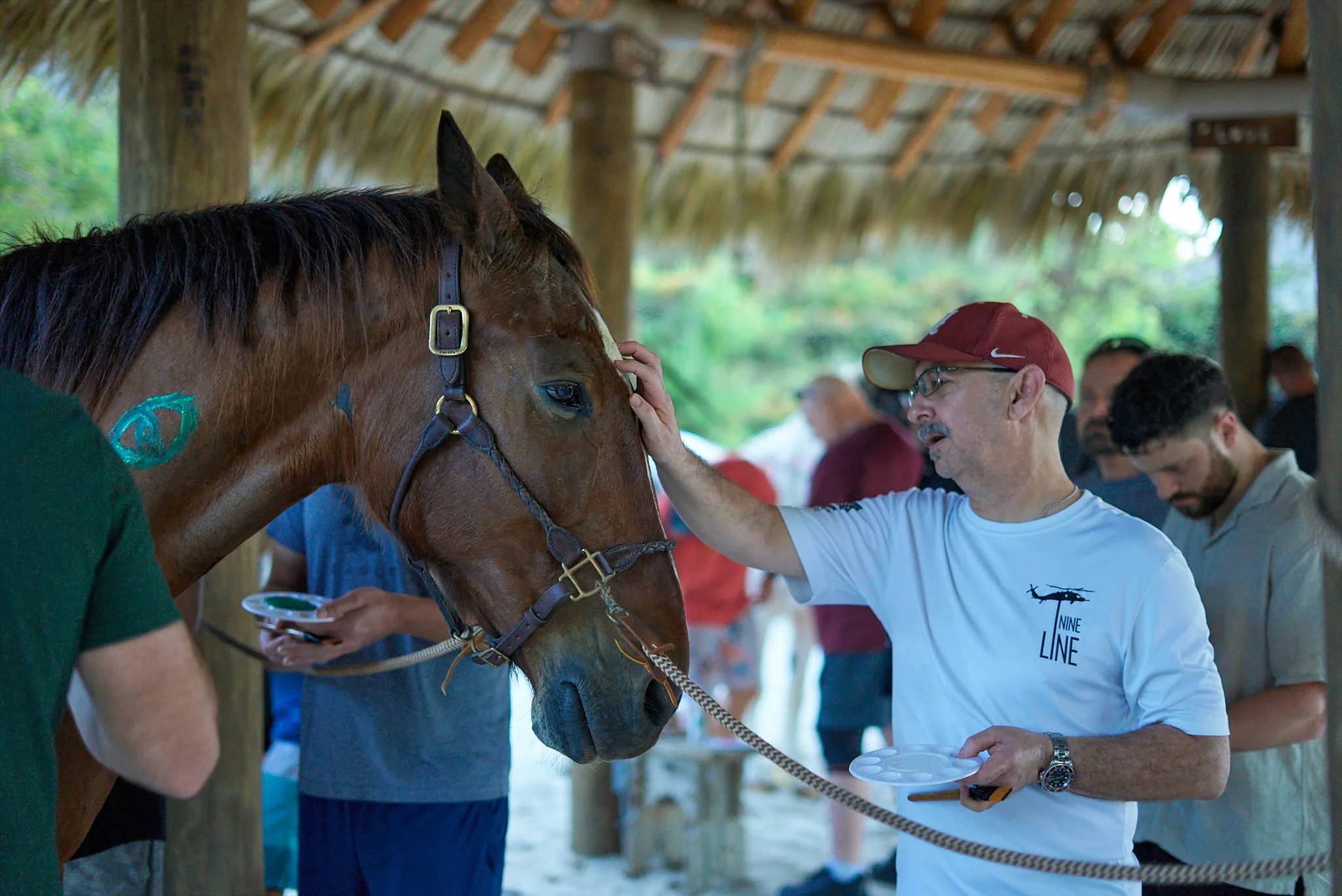 Animal Rescue | aerialrecovery.org | aerialrecovery.org