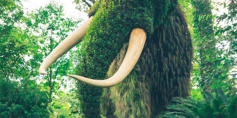 🌏 Mammoths, Sloths and Cammels: US Renewable Energy Transition Faces ...