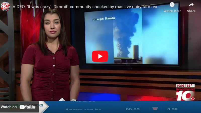 Watch: Explosion at Dairy Farm in Dimmitt, Texas – Over 18,000 Cattle ...