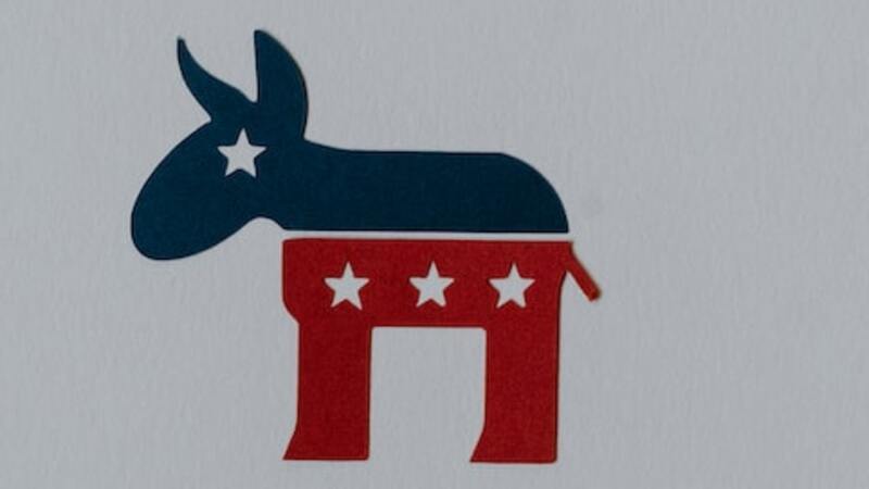 Florida Democrats oust 2 county chairs | floridaseastcoastvoice.com ...