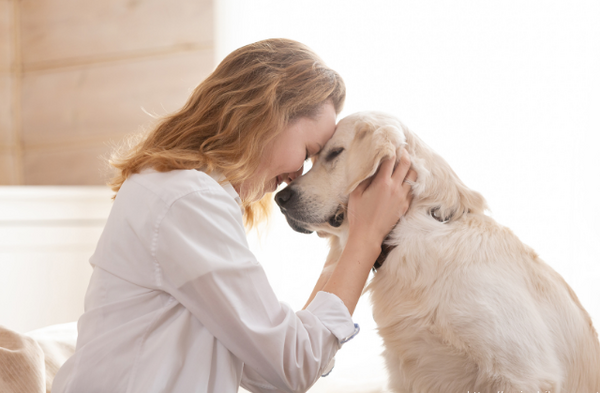 furtales.emaildesigner.com | How to Help an Abused or Neglected Rescue ...