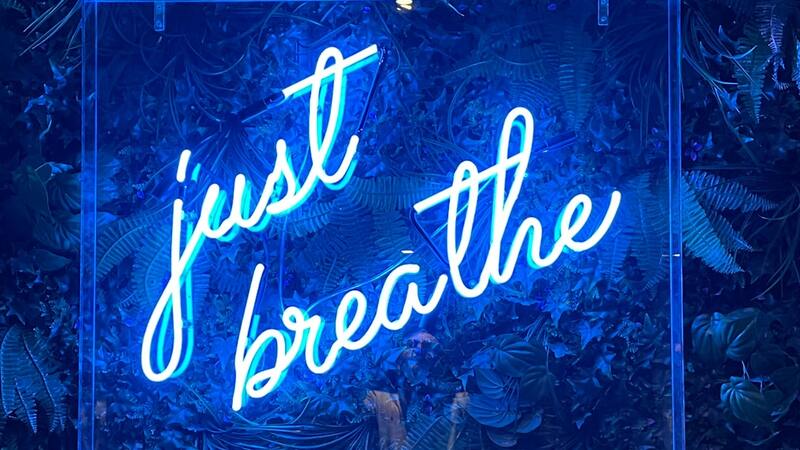 Breathe Better, Live Better: Surprising Health Benefits of Nasal ...
