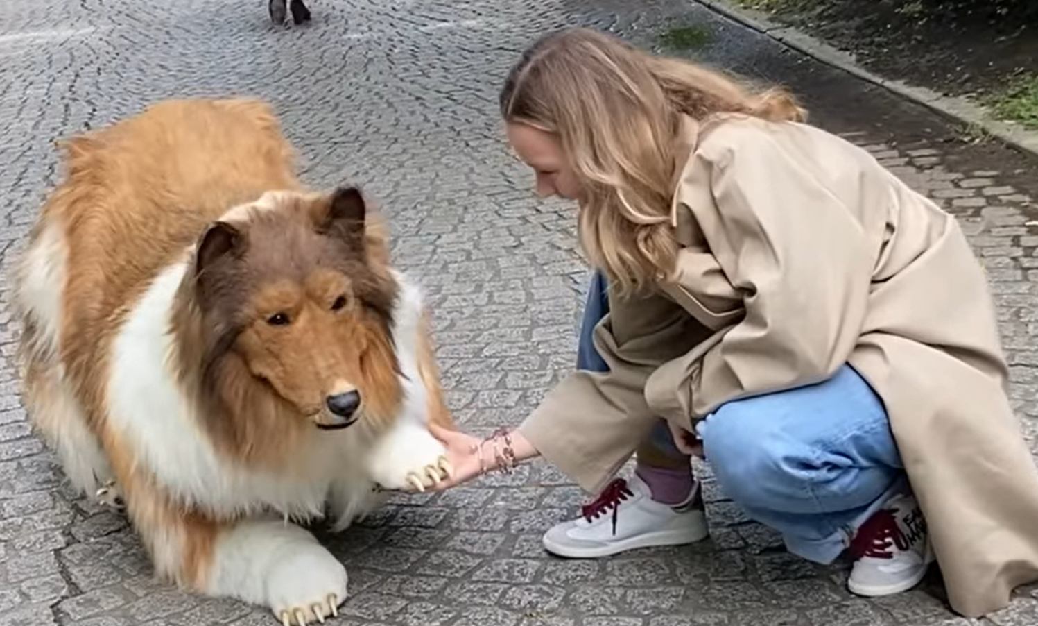 Japanese Man Spends Over 14 000 To Become Real life Dog Human Events Japanese Man Spends Over 14 000 To Become Real life Dog Human Events
