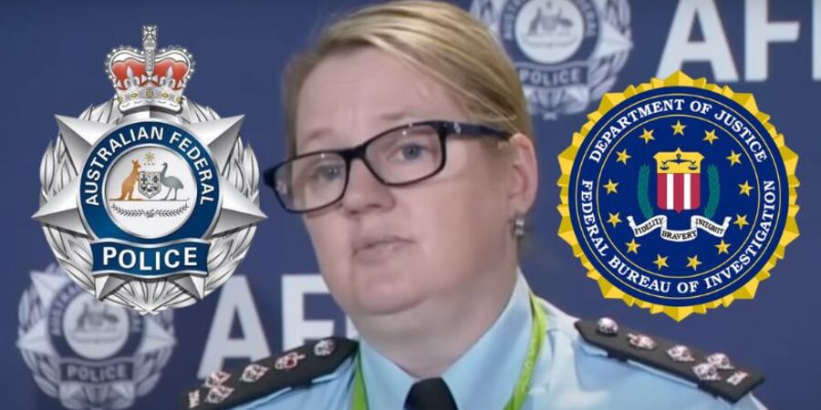 98 arrested after international pedophilia ring uncovered in joint ...