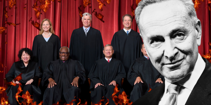 NICOLE RUSSELL: Democrats will burn down the Supreme Court if they can ...