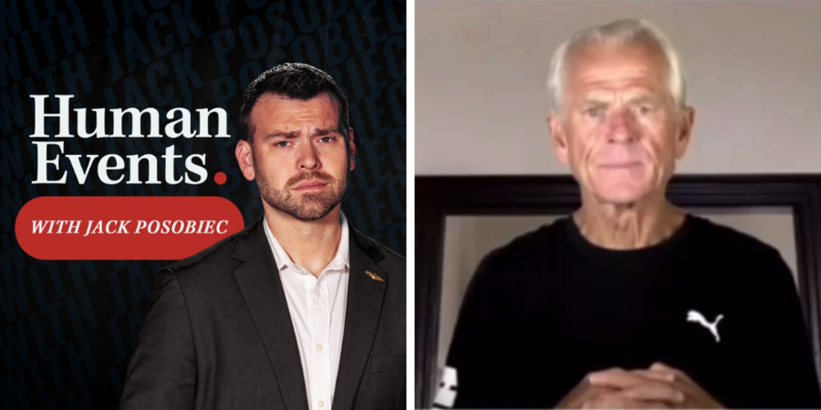 EXCLUSIVE: Dr. Peter Navarro dubs the plummeting stock market the ...