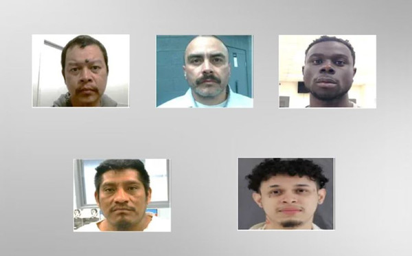 ICE Highlights One-Day Roundup of Criminal Alien Kidnappers, Gang ...