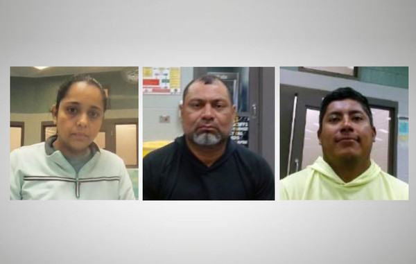 ICE Sweep in Texas Nets 24 Arrests in Single Day | Law Enforcement ...