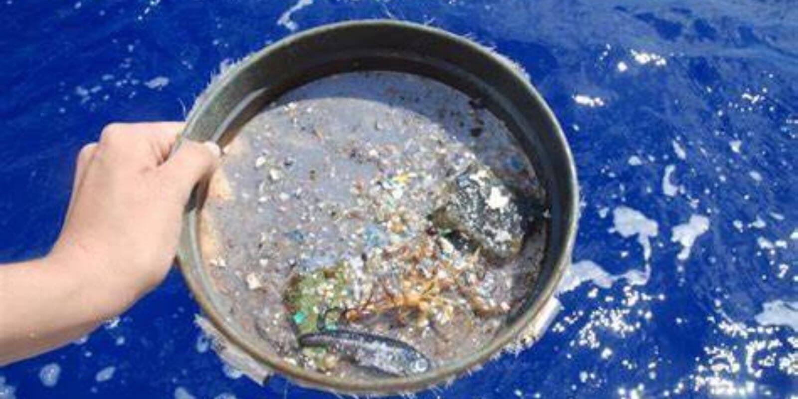 Microplastics now found in lungs of living humans: new study | The Post ...