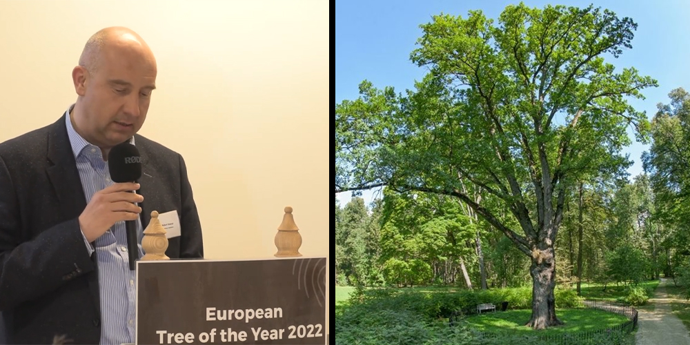 Russian tree cancelled | The Post Millennial | thepostmillennial.com