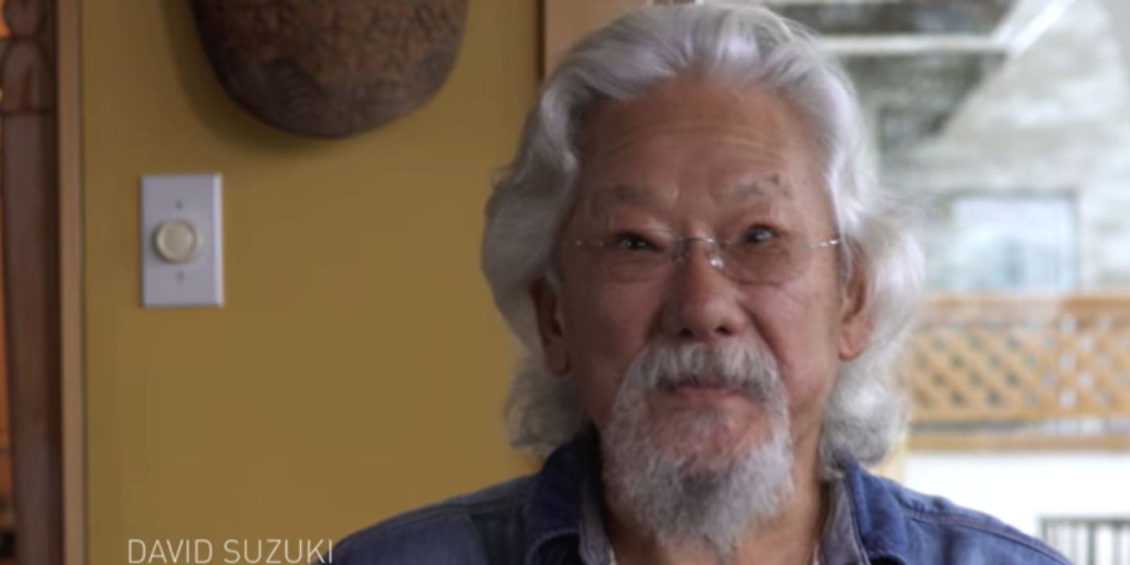 Environmental activist David Suzuki warns pipelines will be blown up if ...