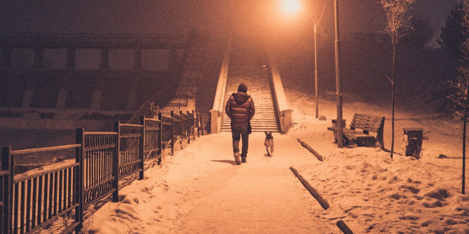 Quebec forbids citizens from walking their dogs during COVID curfew ...