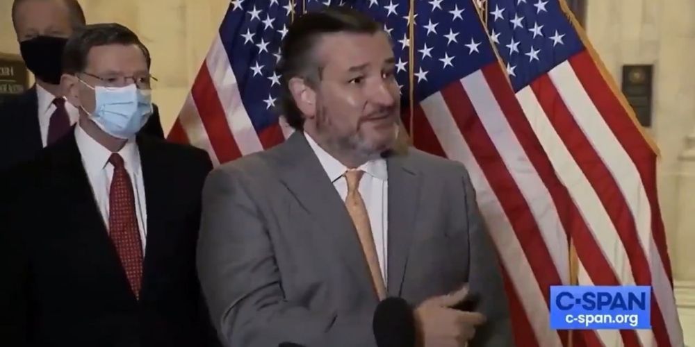 WATCH: When asked to mask to make them 'feel better,' Ted Cruz tells ...