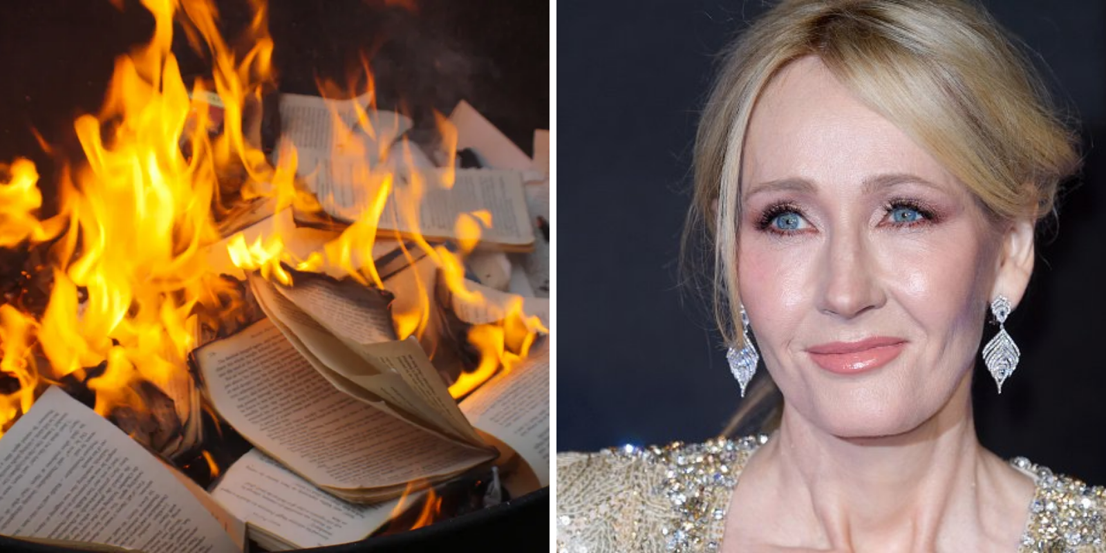 Celebrities and activists call for JK Rowling's books to be burned ...