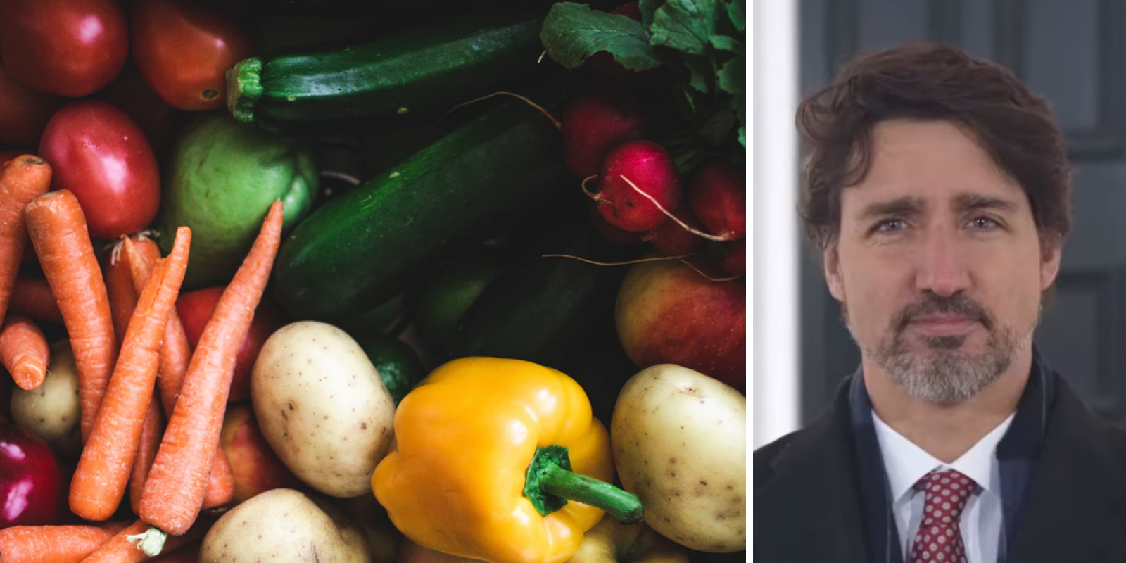 Trudeau government enlists children to spread healthy eating propaganda ...