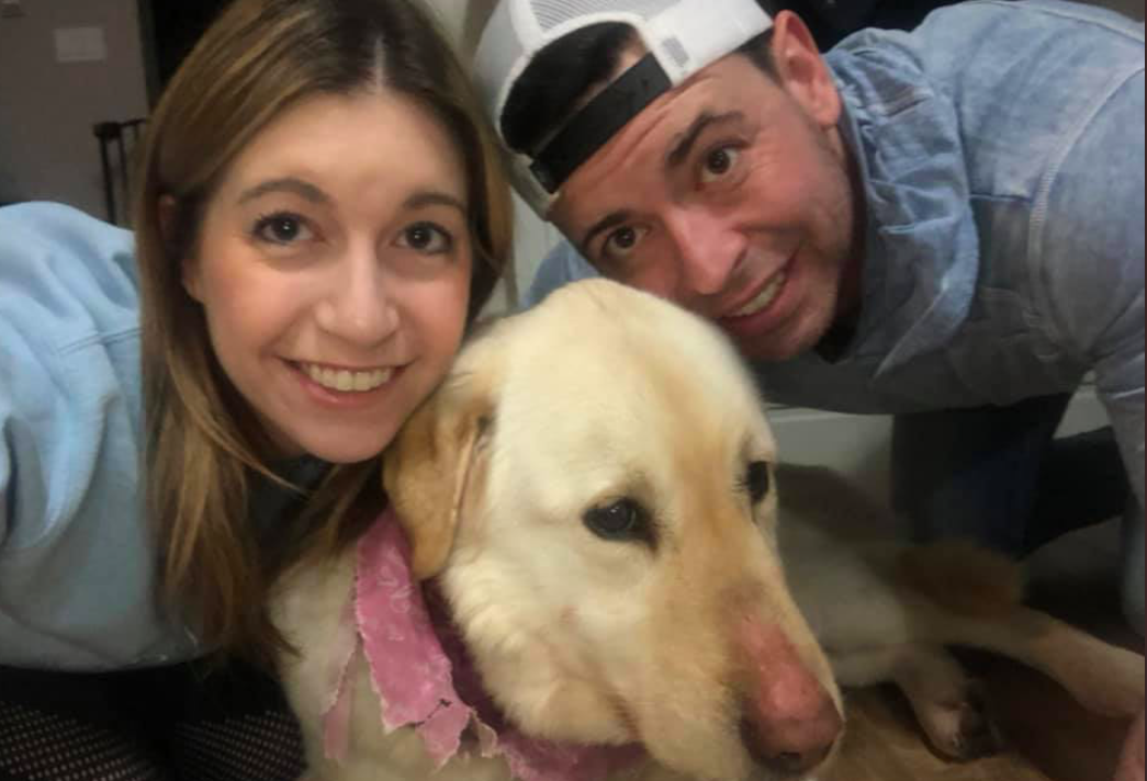 NEW FOUND DOG: Zoe comes home after being lost almost a year | The Post ...