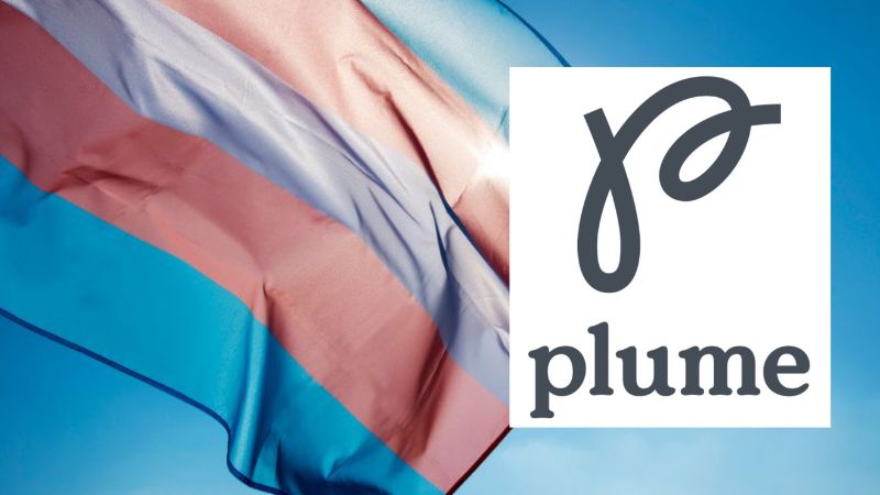 Service provides medicalized trans 'hormone therapy' online | The Post ...
