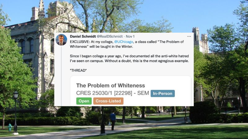 'The problem of whiteness' course offered at University of Chicago ...