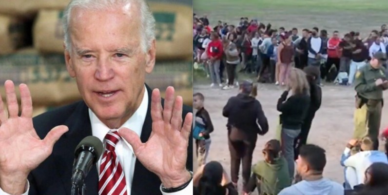 Sex Offenders Apprehended Illegally Crossing Us Mexico Border The