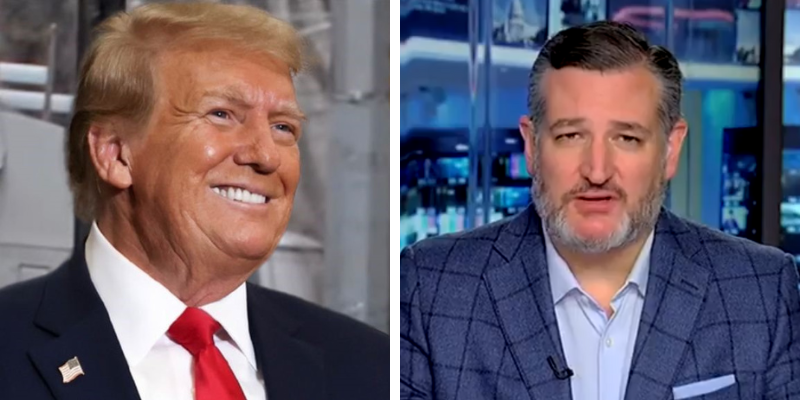 BREAKING: Senator Ted Cruz endorses Donald J. Trump for president | The Post Millennial ...