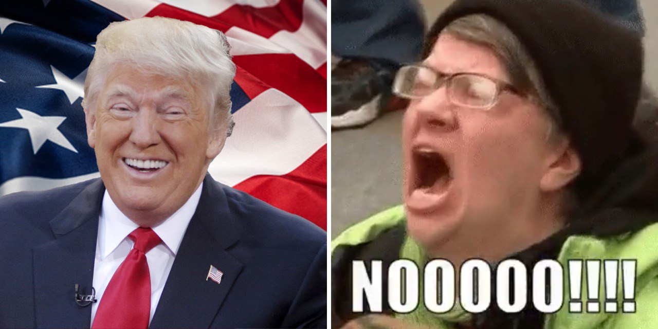 NEW: Donald Trump gives ‘shoutout’ to triggered TDS protester who ...