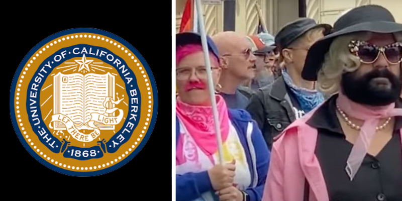 Percentage of students identifying as trans, non-binary triples at ...