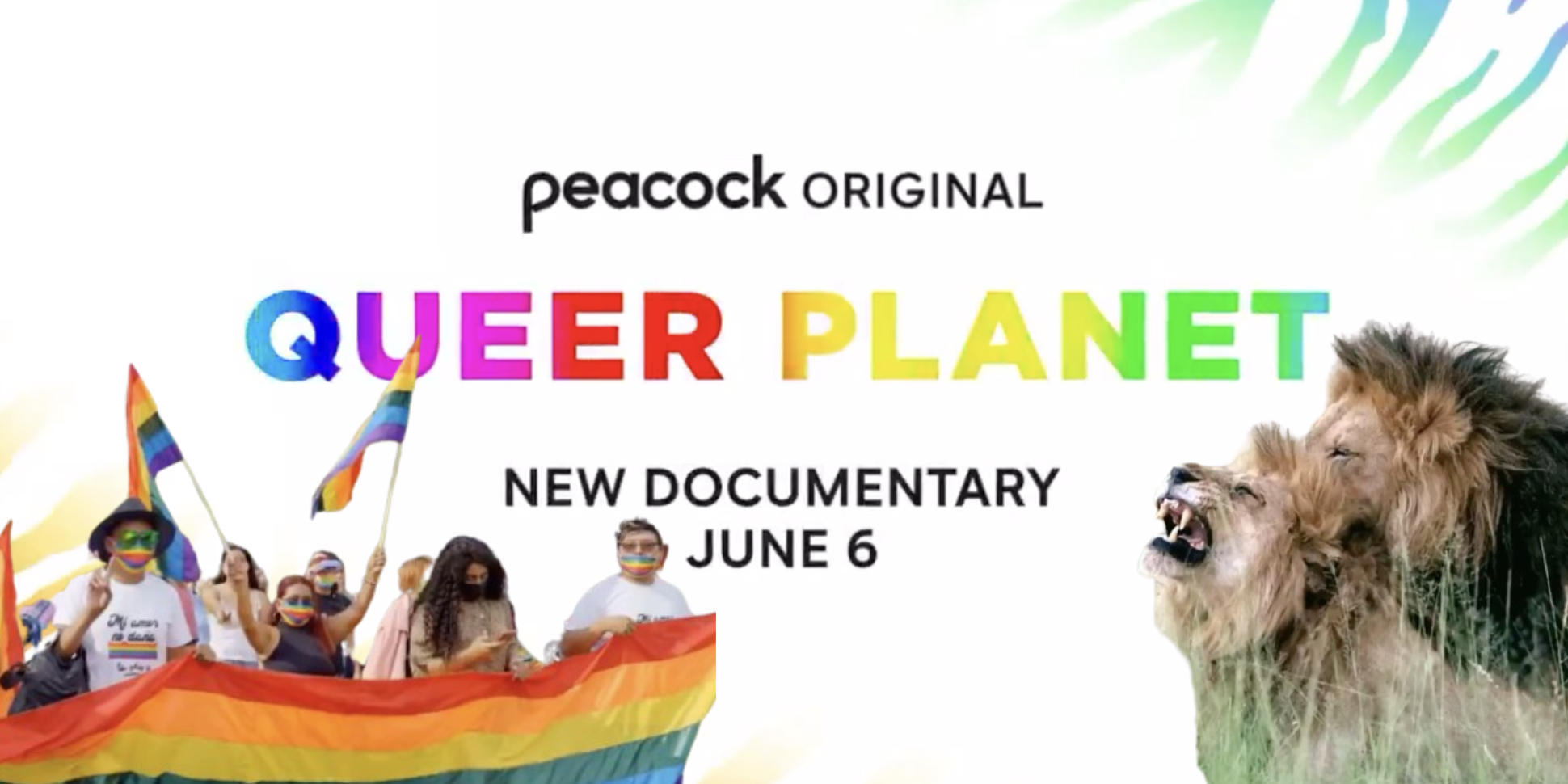 ‘Queer Planet’: NBCUniversal to debut series about gay and trans animals | The Post Millennial ...