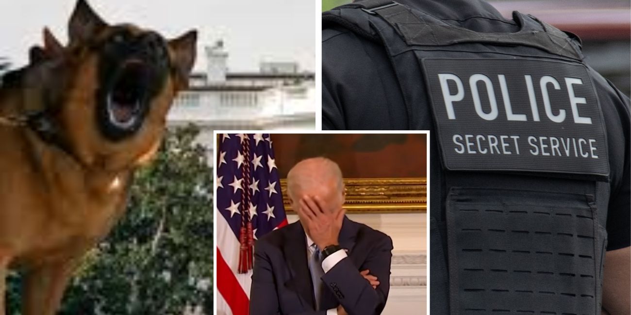 Secret Service destroyed video evidence of Biden’s dog attacking agent ...