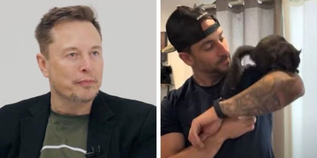 Elon Musk Criticizes Euthanasia of Peanut the Squirrel | VT News