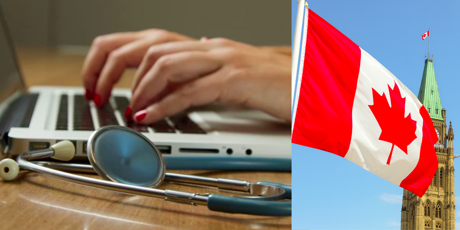 ‘AGAINST HER WILL’: Elderly Canadian woman euthanized by government ...