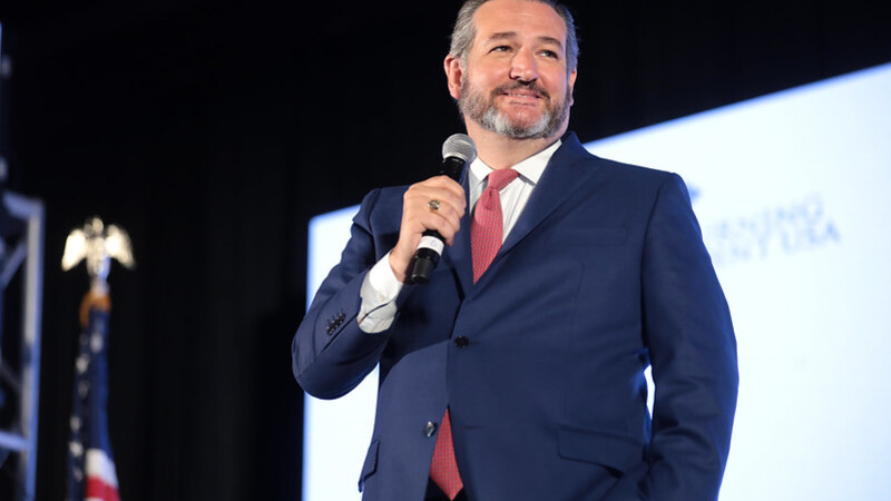 Ted Cruz Wins Reelection, Defeats Democratic Challenger Colin Allred ... Ted Cruz Wins Reelection, Defeats Democratic Challenger Colin Allred ...