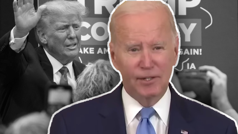 "Operation Destroy Freedom": The Latest Ambush on American Democracy by ...