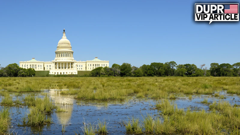 Shaking Up Washington: Would 'Drain the Swamp' Acts Secure Trump's ...
