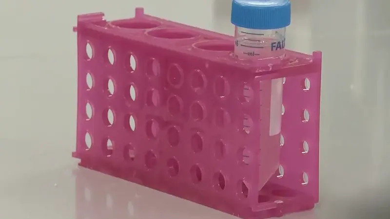 New Male Contraceptive: Lotion Power for Birth Control! | Wayne Dupree ...